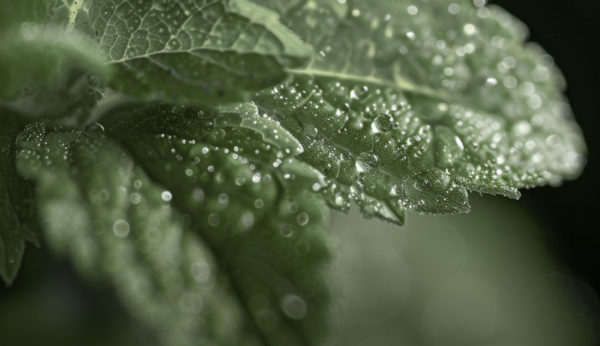 À propos de Hecko – Meubles durables en panneaux revalorisés